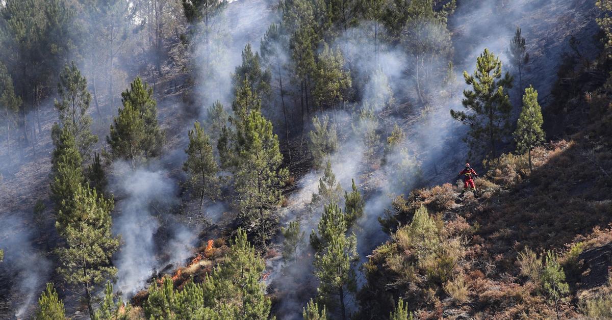 Flames threaten Galicia's oldest forest