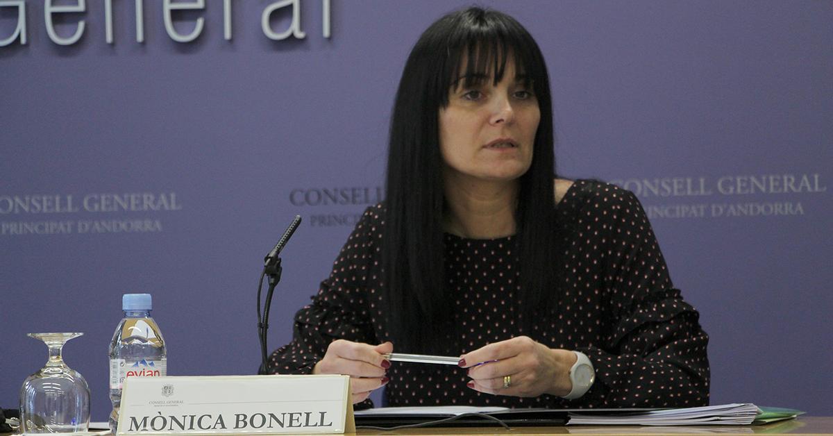 Sílvia Bonet dona suport a Josep Pintat per presidir el grup mixt