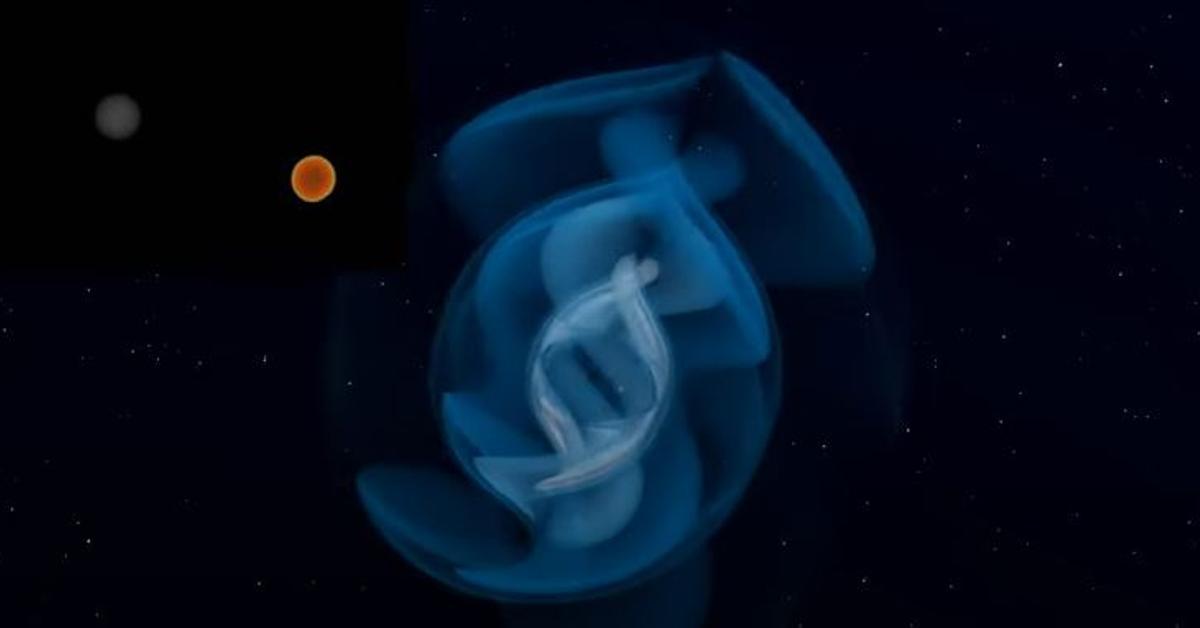 La UIB participa en la detecció de la fusió entre un estel de neutrons ...