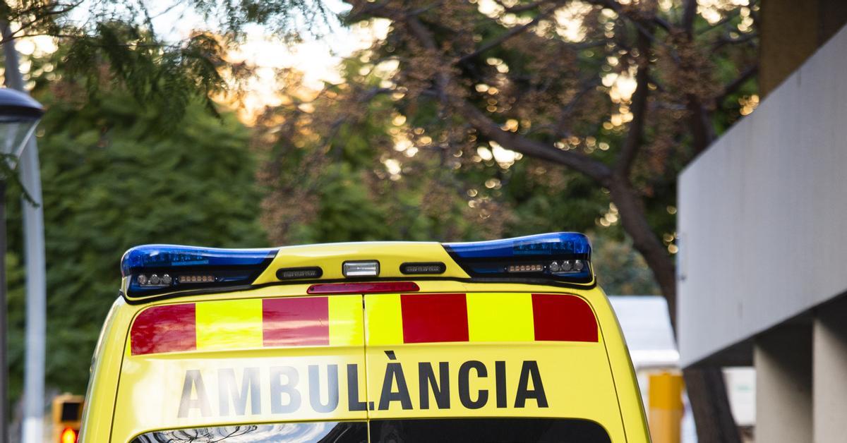 Mor una dona de 65 anys després de caure a l'aigua de matinada al port ...
