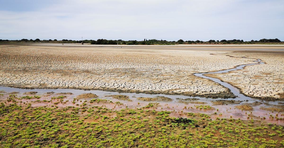 Ni rastro del agua: Doñana se seca del todo