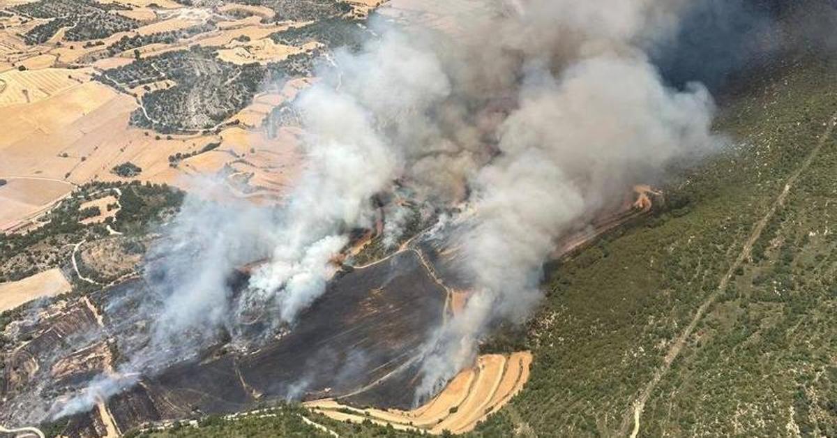 First important fire of the season controlled in Segarra