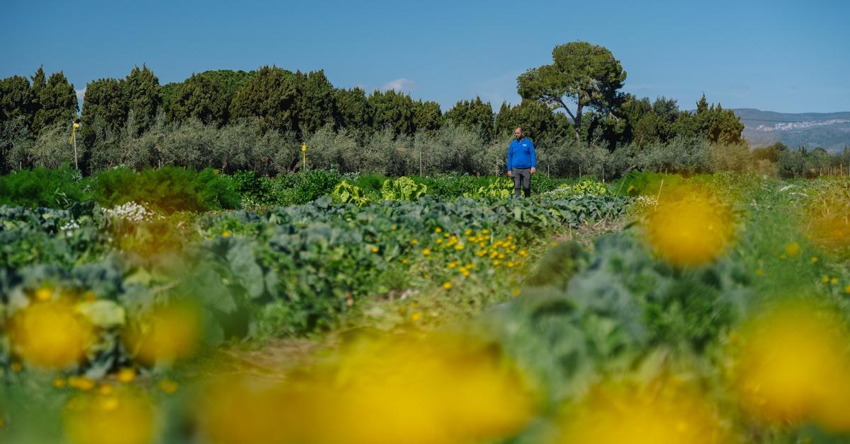 Flowers instead of pesticides and mobile corrals: science backs ...