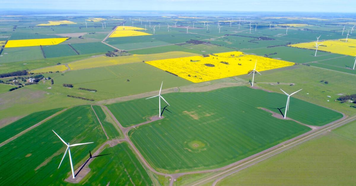 ¿Qué está haciendo bien Naturgy para luchar contra el cambio climático ...