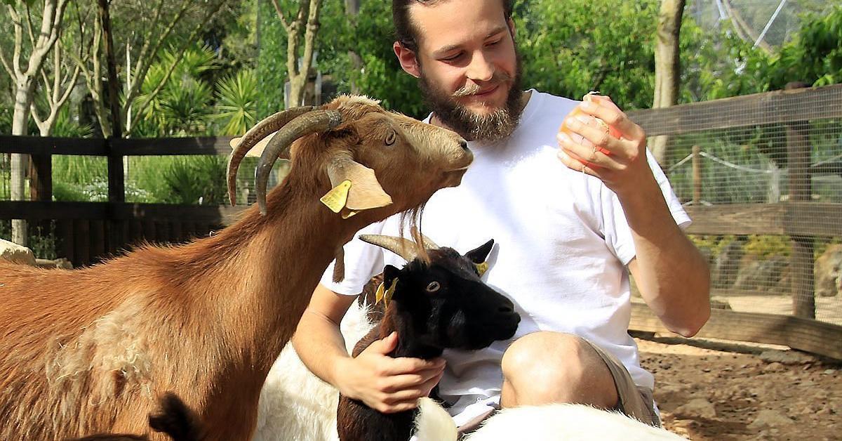 El Lloc de Menorca, molt més que un centre zoològic