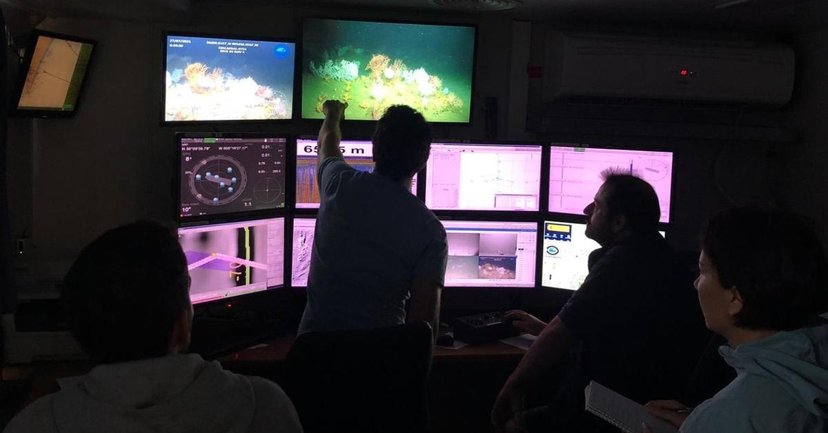The IEO-CSIC provides the scientific basis for the creation of new ...