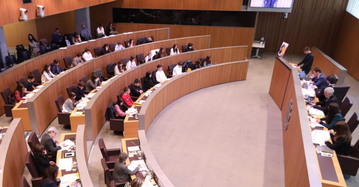 El Consell General dels Joves aprova distribuir anticonceptius gratuïts