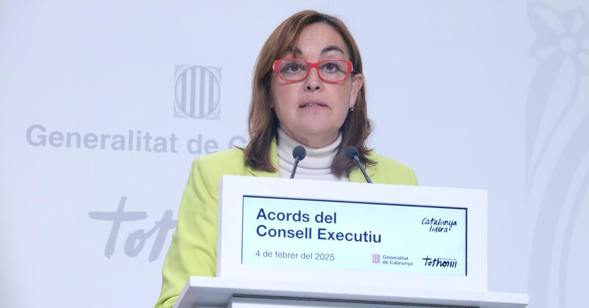 The Government approves the MedCat plan to "project the capital status ...