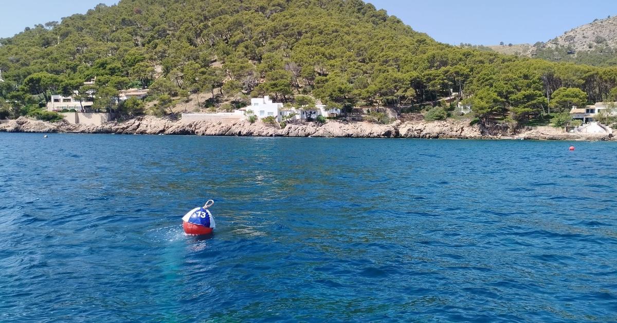 ADN Mediterrani denuncia PortsIB davant Anticorrupció pels camps de ...