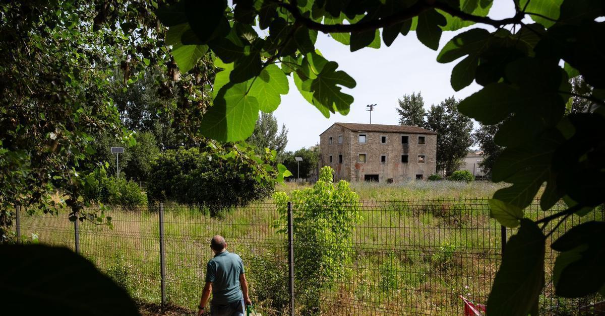 A score of African boys live miserably in a farmhouse without walls ...