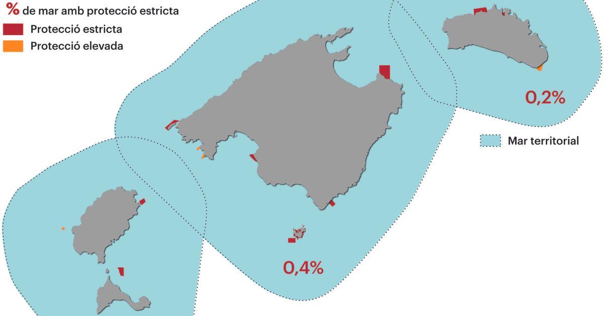 Només 53 dels 72.500 km2 de la mar Balear estan altament protegits