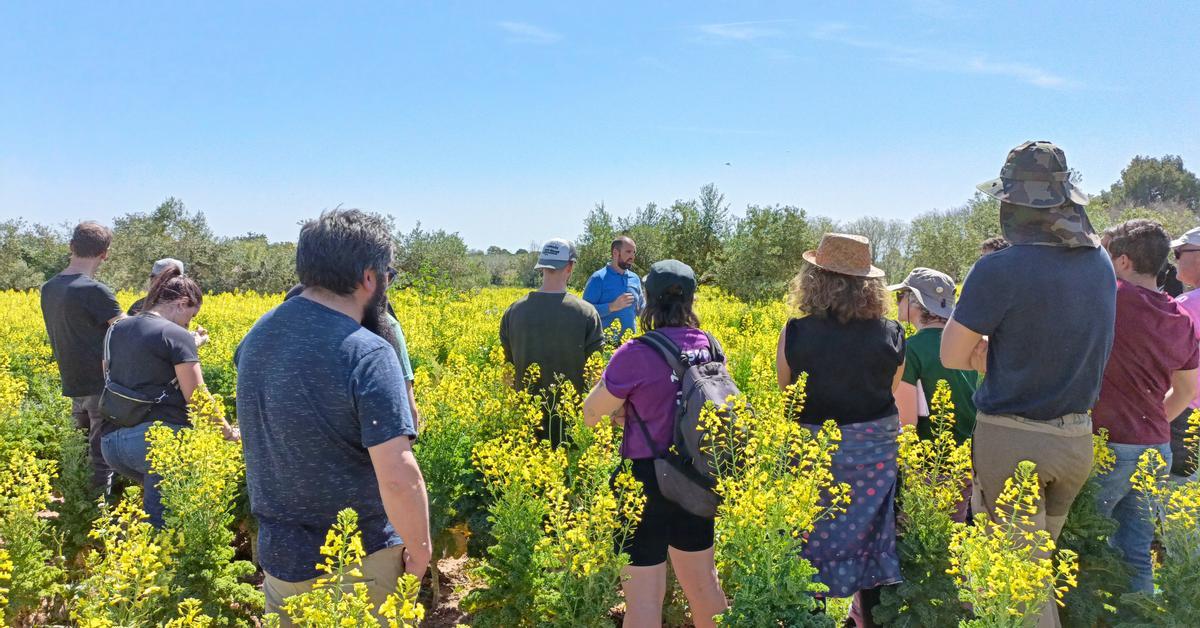 The agricultural professions of the future: managing a smart farm and ...