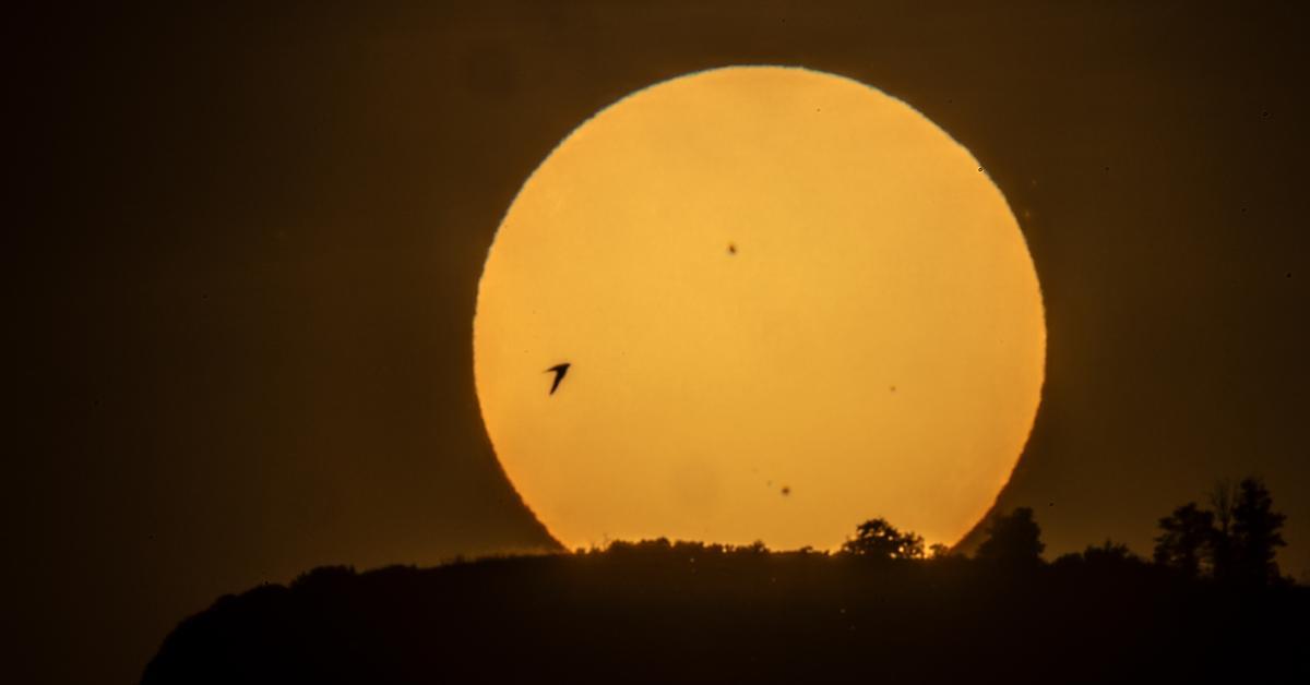 Temps a Catalunya: sense treva de la calor intensa de plena canícula