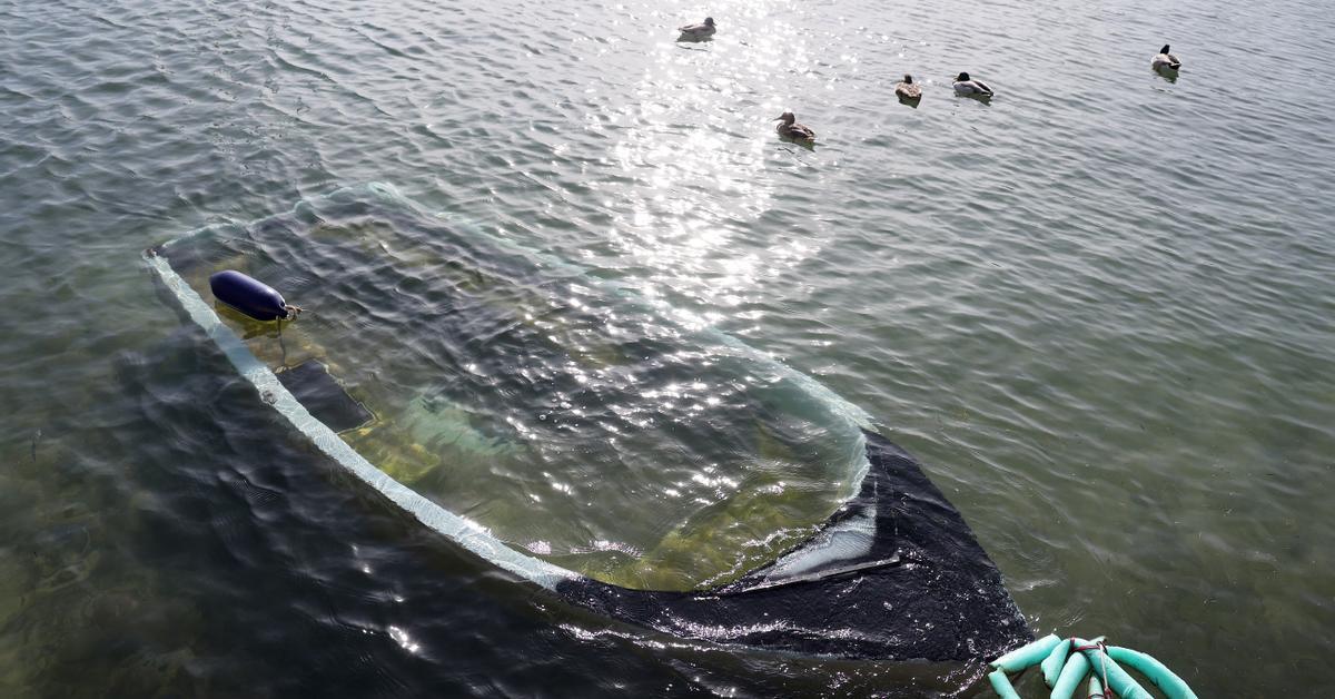 Thousands of boats committed to illegal deaths are damaging the seabed.