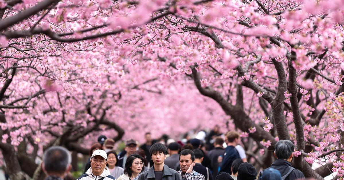 Water Gun Wars and Viking Rituals: Seven Festivals to Celebrate Spring