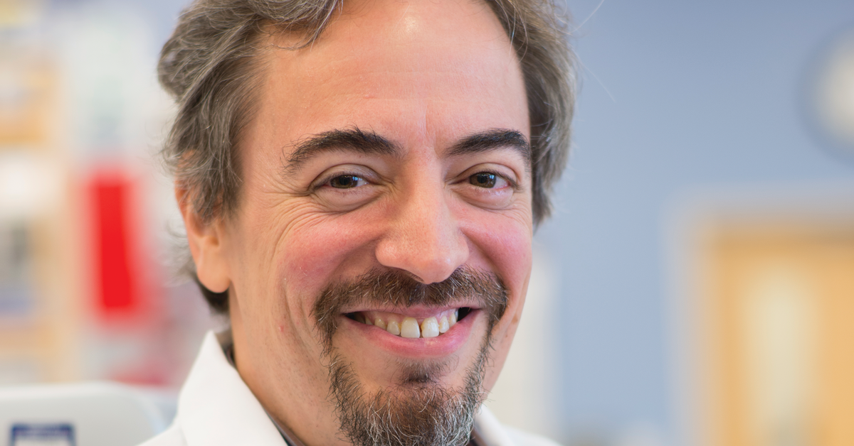 Ari Melnick, new director of the Josep Carreras Institute, replacing ...