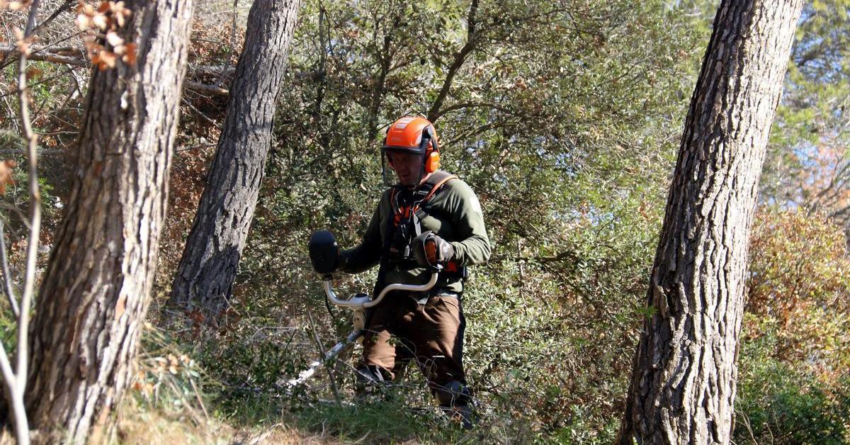 Un 17% dels municipis catalans, en màxim risc d'incendis forestals