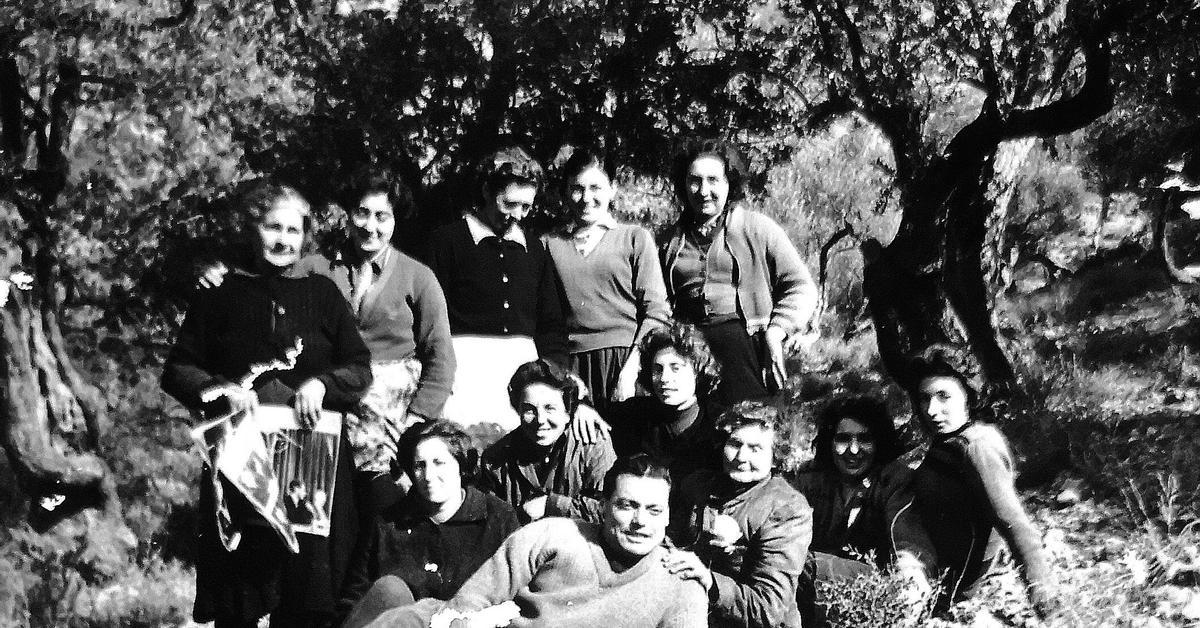 La història silenciada de les ‘gallufes’, les collidores d’oliva del ...