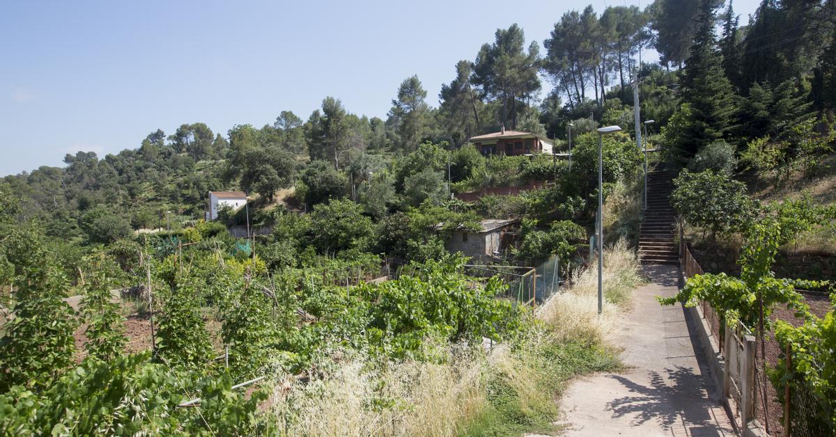 Sequera a l'àrea metropolitana de Barcelona: 25.000 llars consumeixen ...