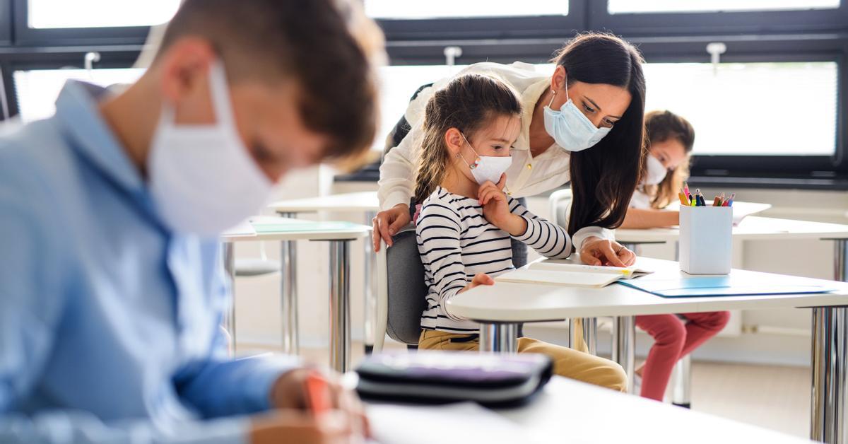 Què aporta la pedagogia a la docència?