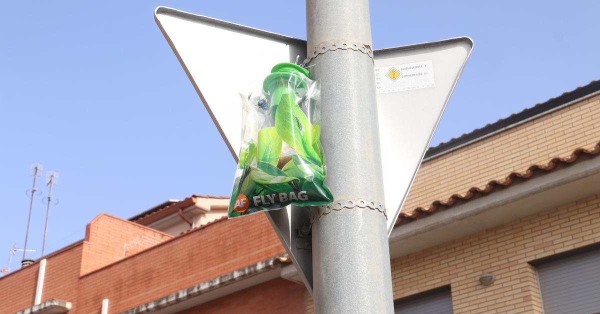 El poble que s'ha omplert de mosques i que no pot anar a treballar